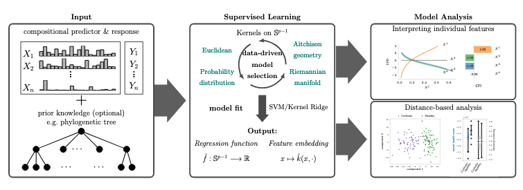 Supervised Learning and Model Analysis with Compositional Data | Elisabeth Ailer